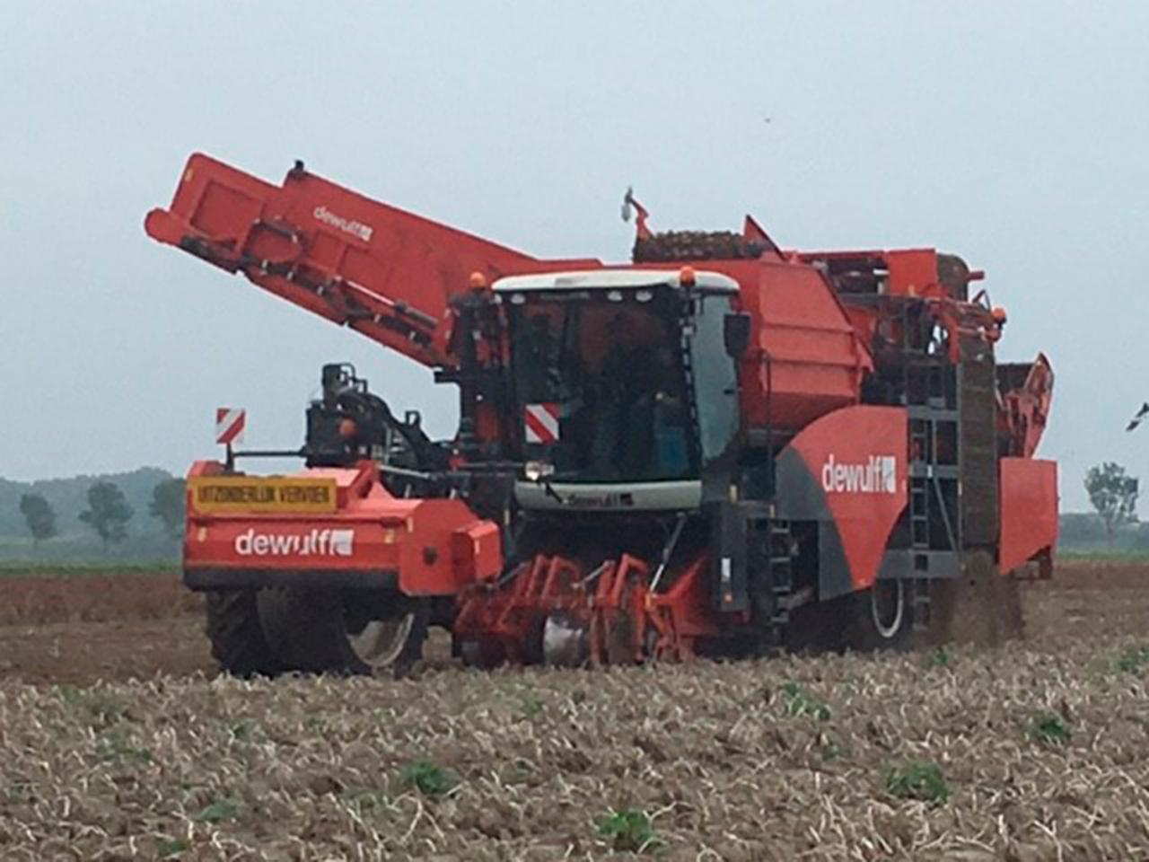 Dewulf R3060 aardappelrooier demo